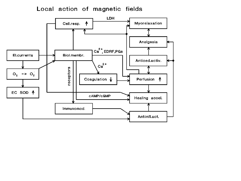 Modern Magnetotherapy